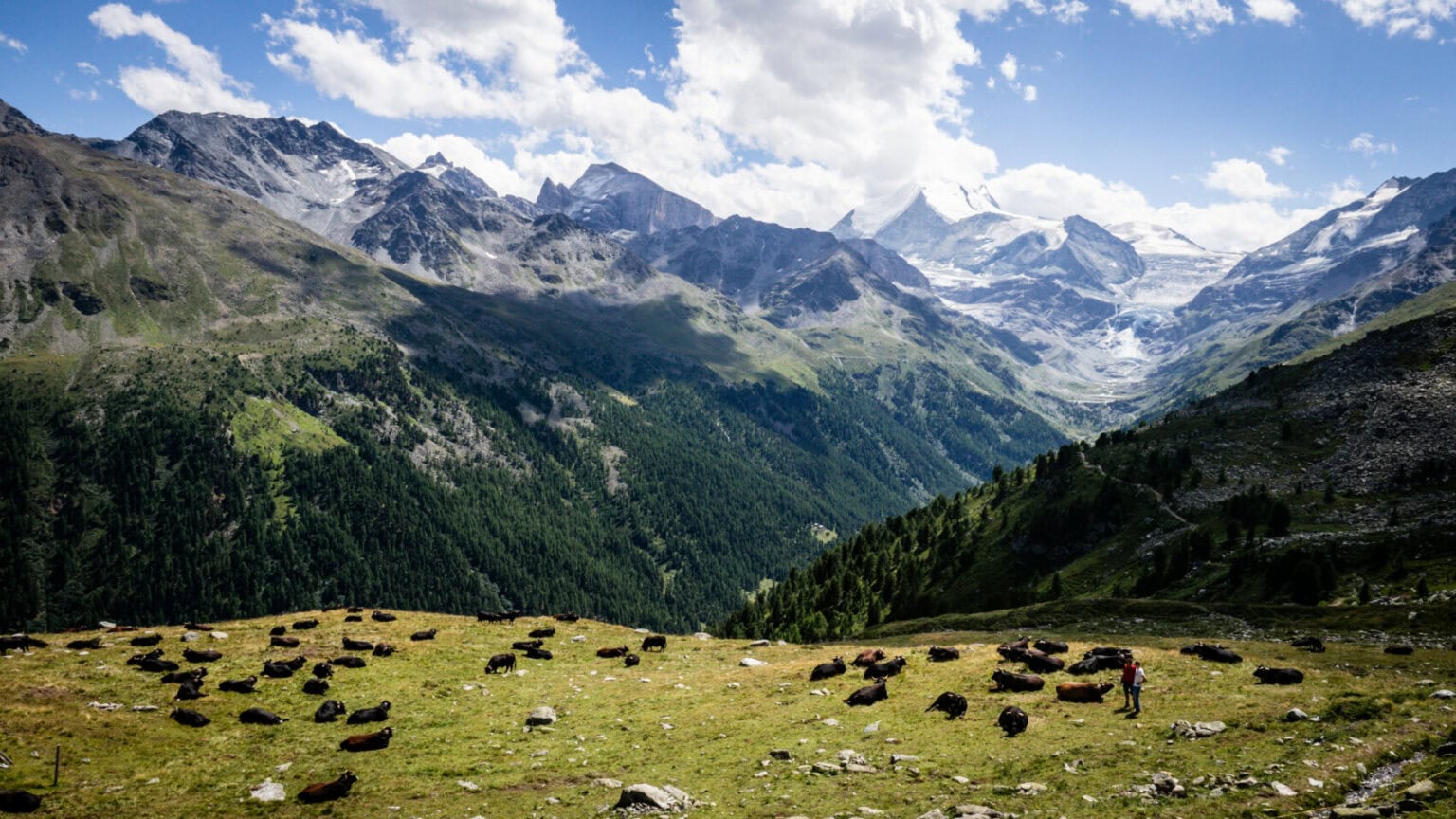 Trek Chamonix Zermatt : la haute route des Alpes par les sentiers