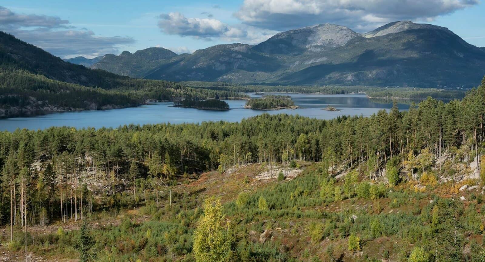 Telemark Norvège : comté de montagnes, lacs, forêts et plages